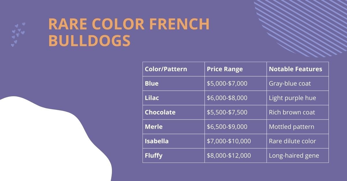 French Bulldog Price Guide 2024: Complete Cost Breakdown