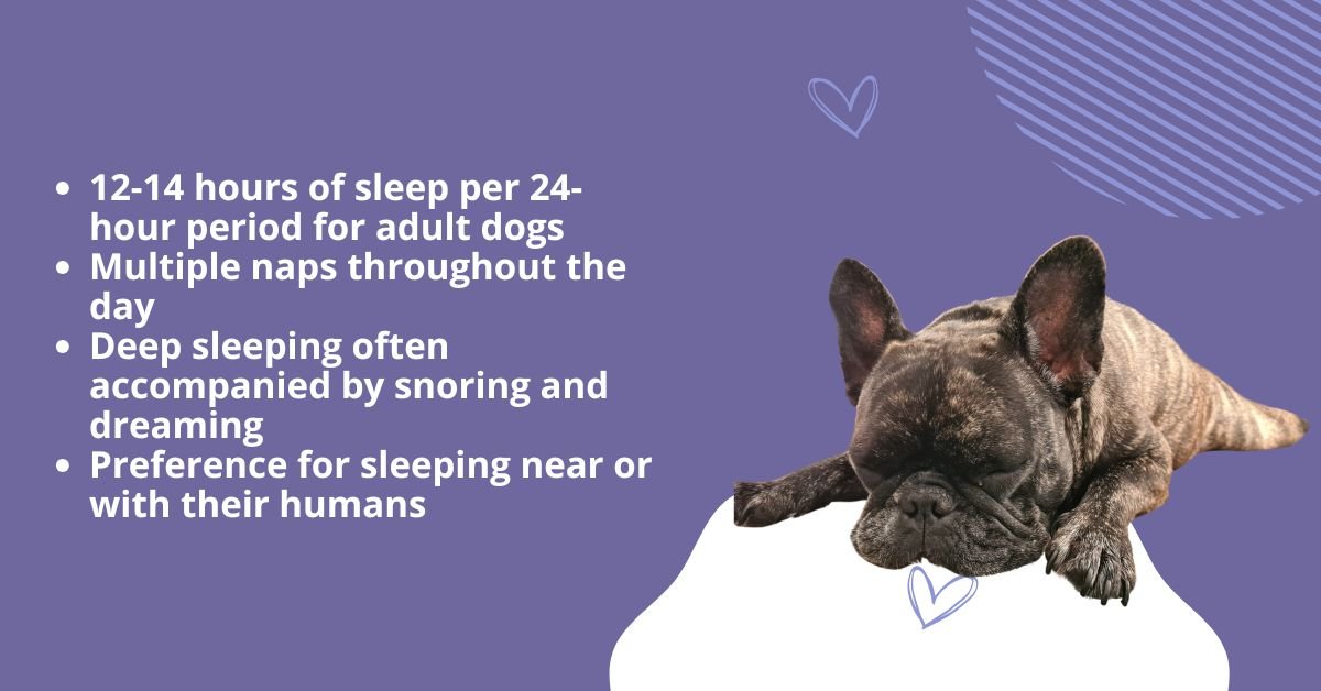 French Bulldog Temperament & Traits: The #1 Complete Guide