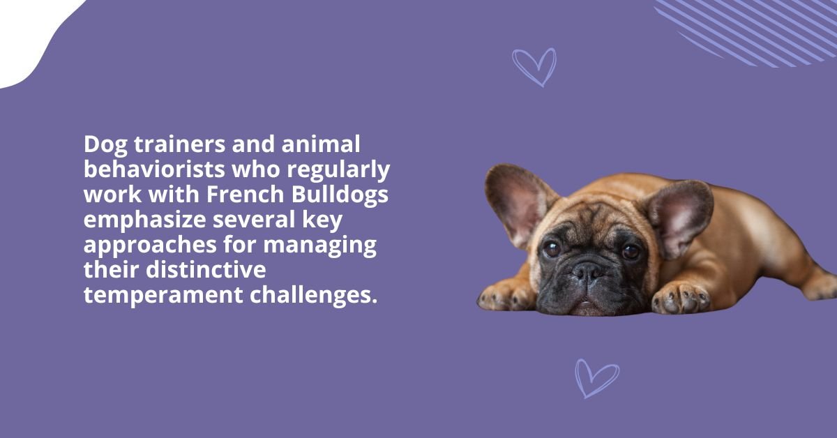 French Bulldog Temperament & Traits: The #1 Complete Guide