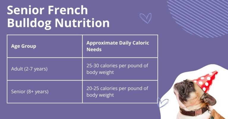 French Bulldog Feeding Guide: Best Diet for Optimal Health